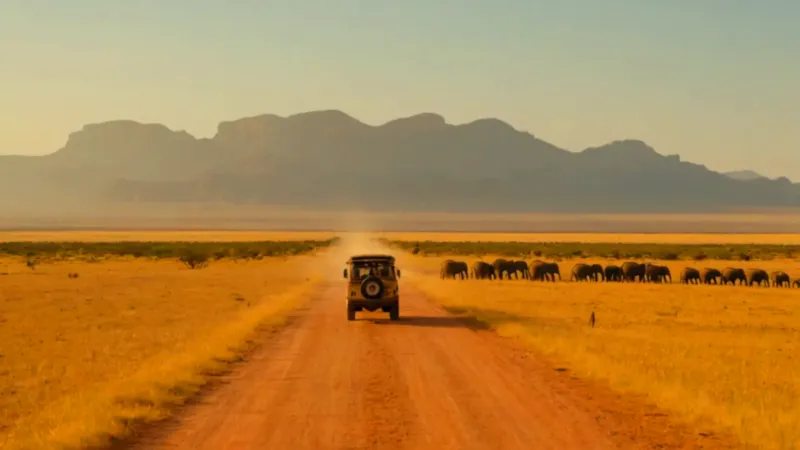 Safari por Tanzania: Guía para organizar un viaje épico